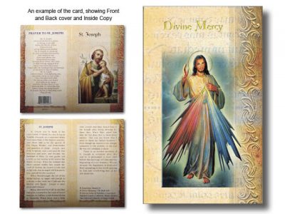 LF12 Divine Mercy Leaflet | Catholics Corner